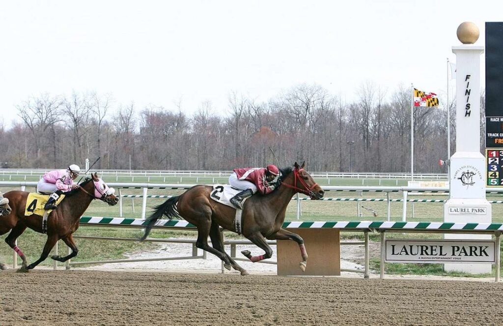 CoinPoker PLO CGWC: 'godfromstock' Builds Huge Lead